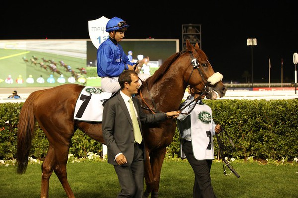 Three Major Dubai Sporting Events You Must See - Dubai Blog